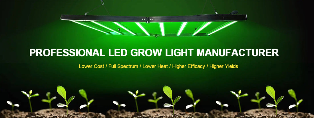 AI Grow